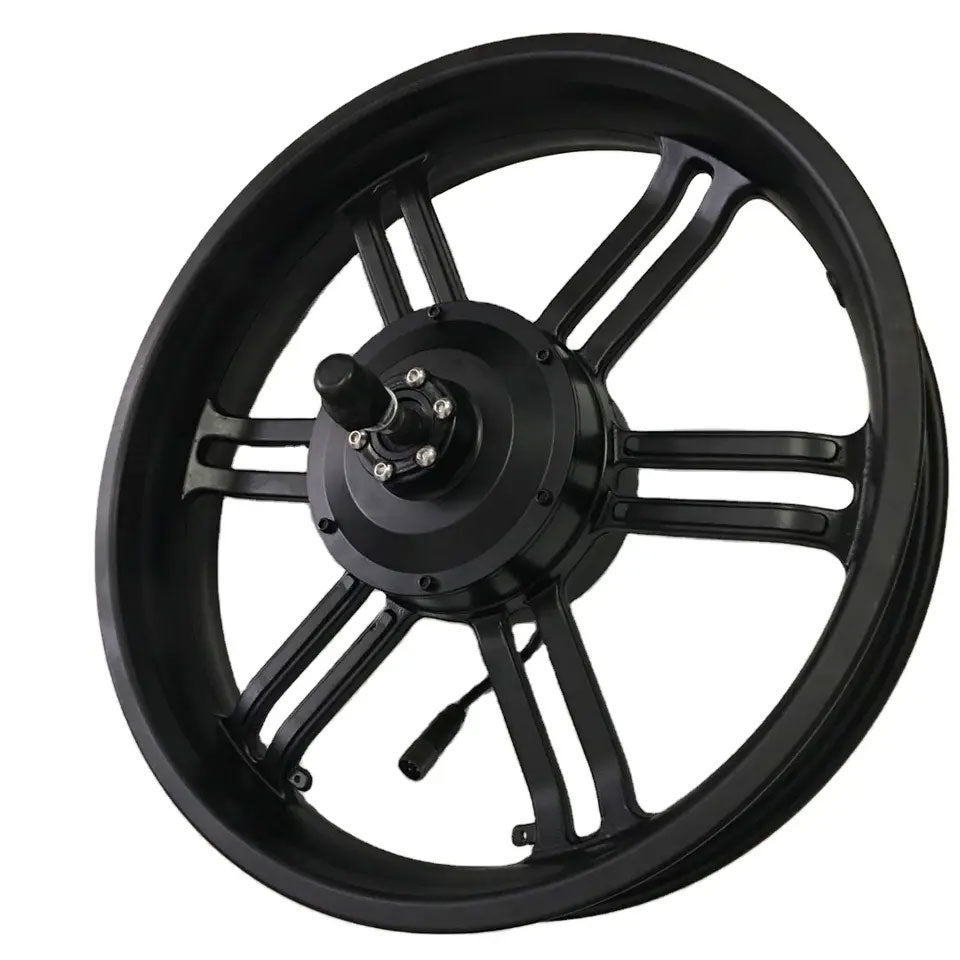 HappyRun 2000W Motor For G100/G60 Pro Electric Motorcycle – happyrunsports